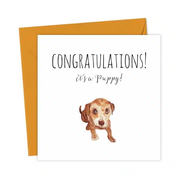 Congratulations, it’s a Puppy | You Said It