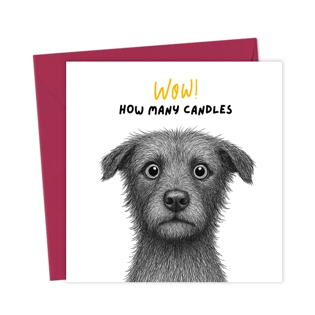 SCRUFFY THE DOG - Greetings Cards